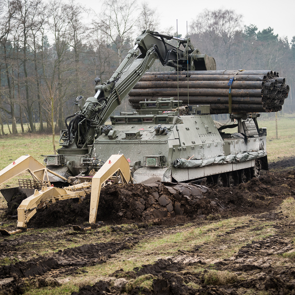 Terrier | The British Army