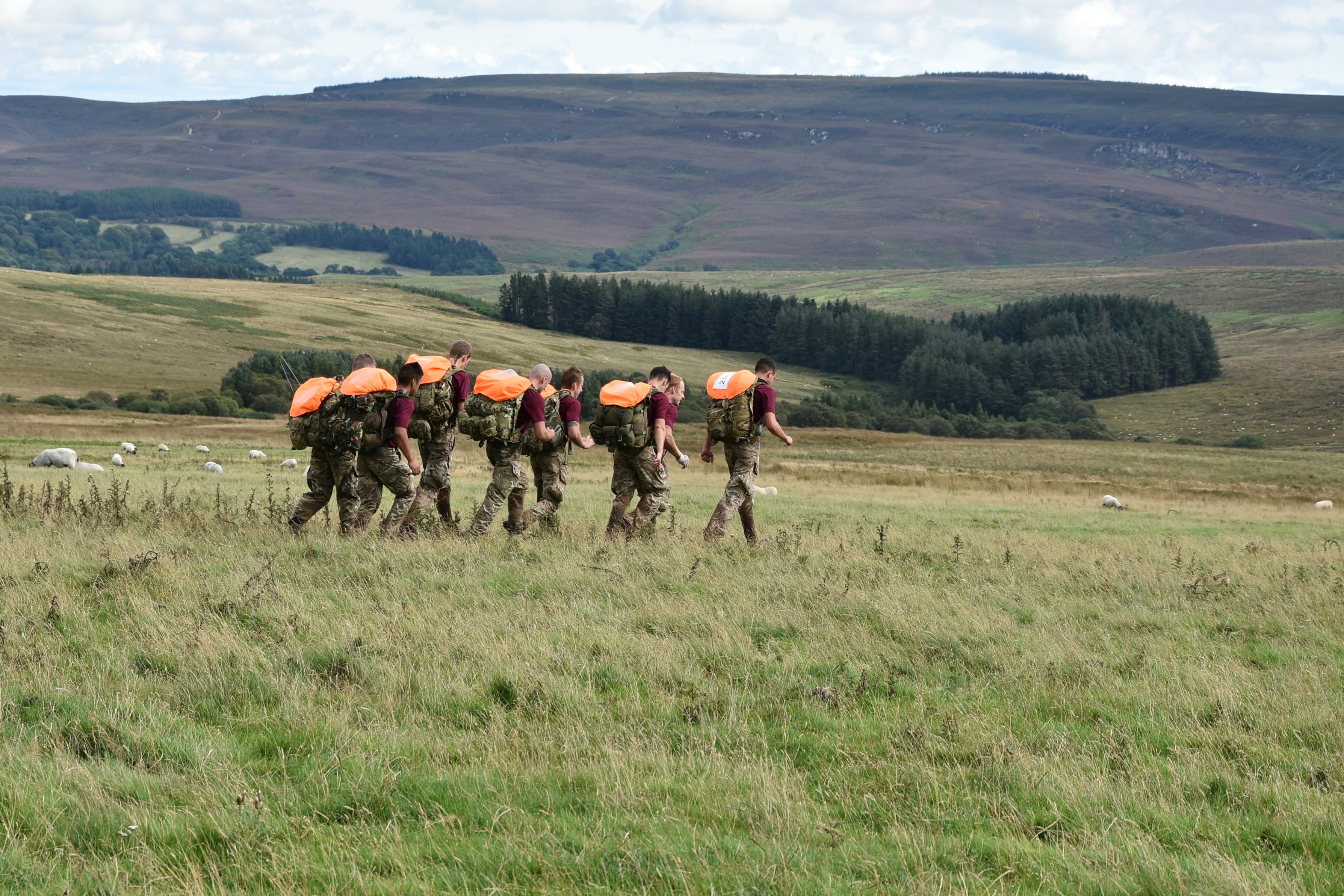 81 Signal Squadron | The British Army