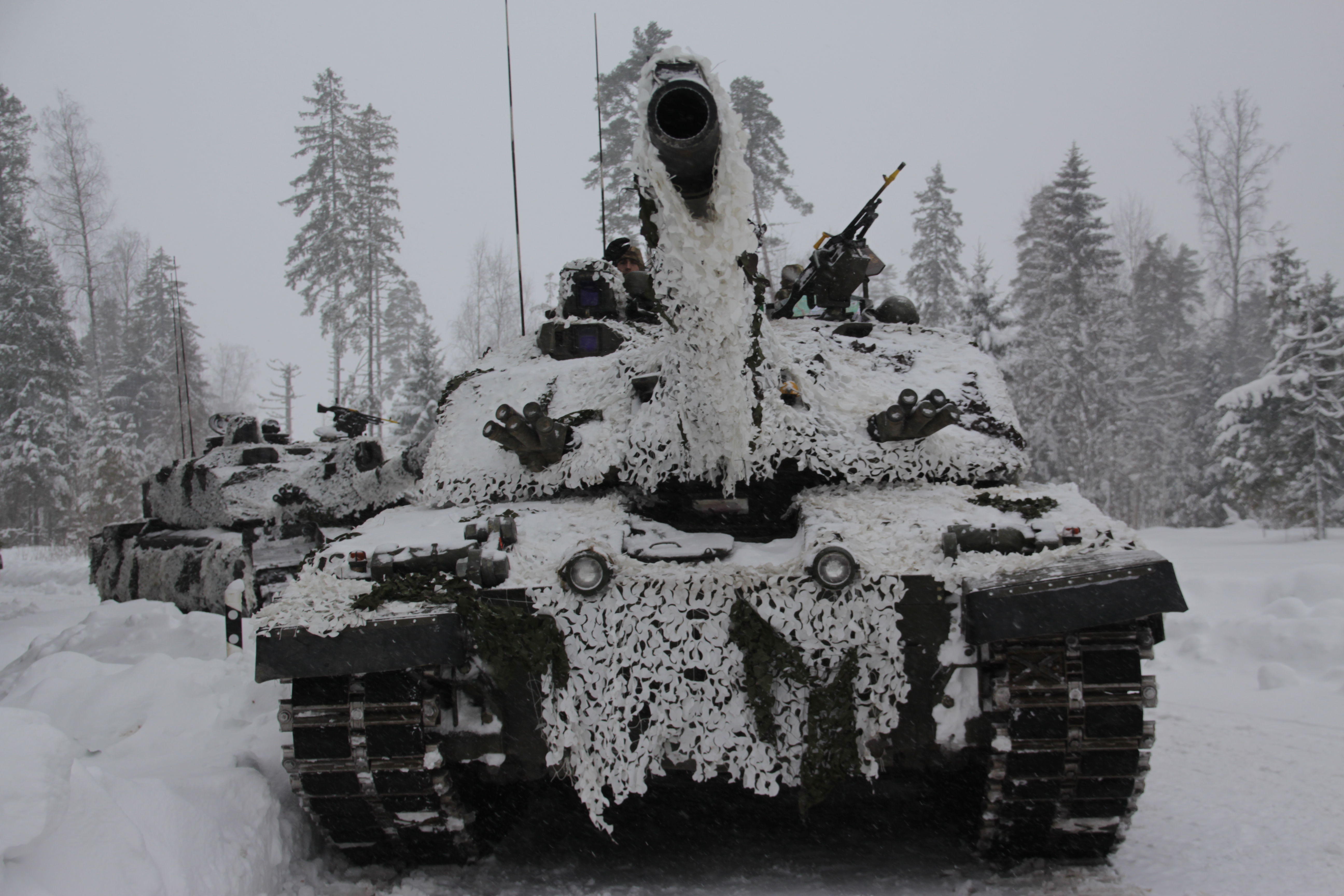 Baltics | The British Army