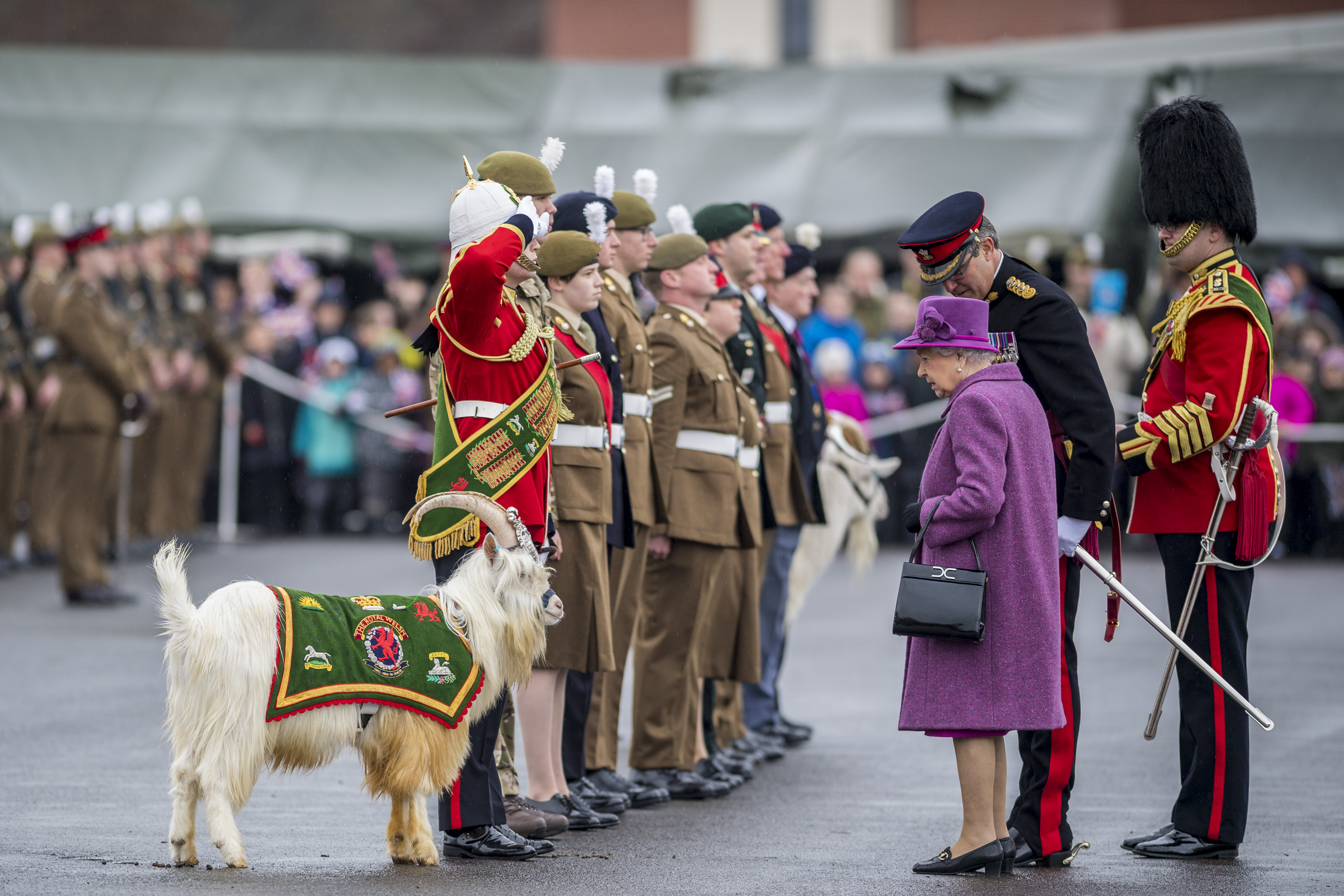 Welsh units reflect on their proud history with Queen Elizabeth II and ...