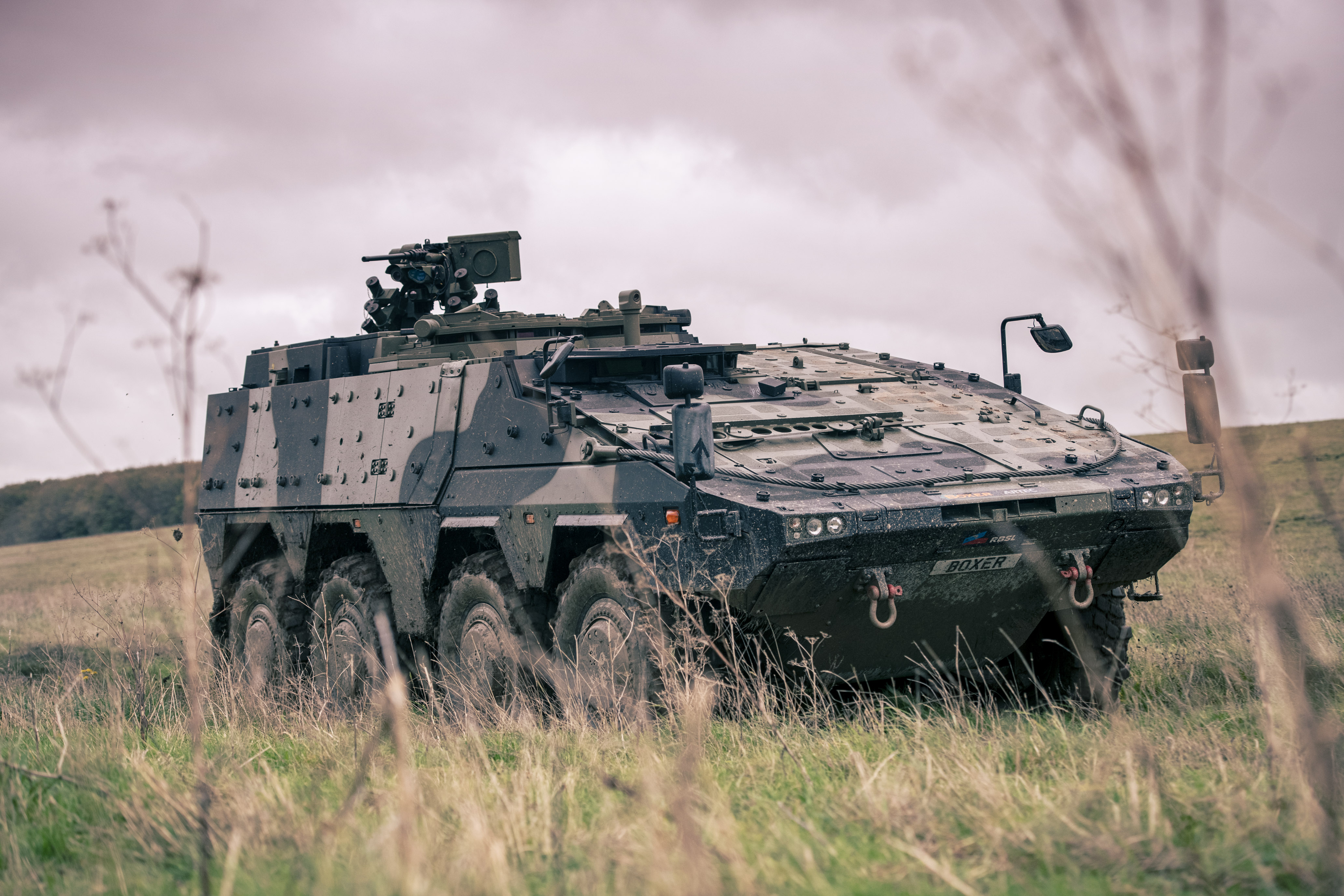 Boxer | The British Army