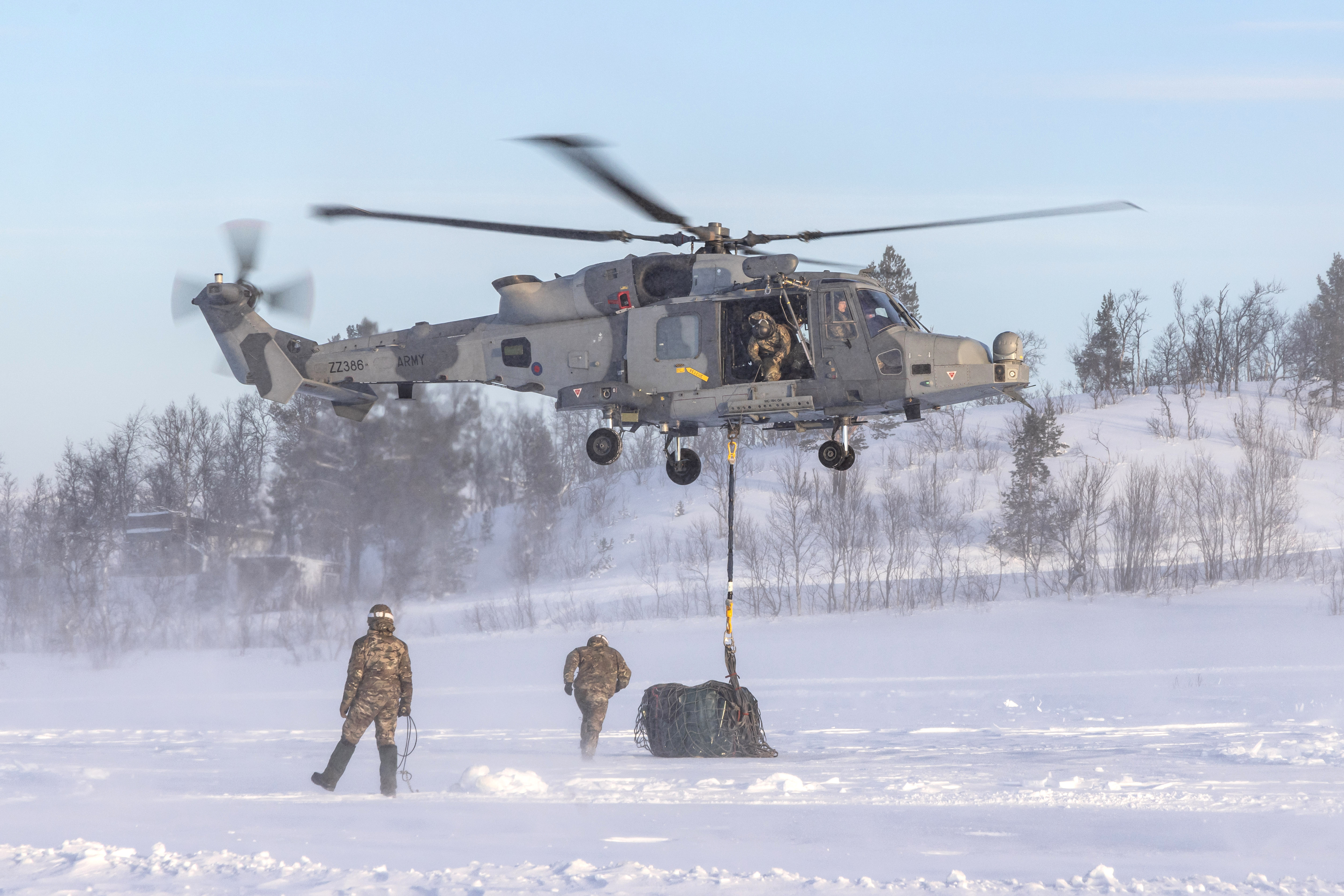 Arctic Role for Aviation Task Force 2 - The British Army