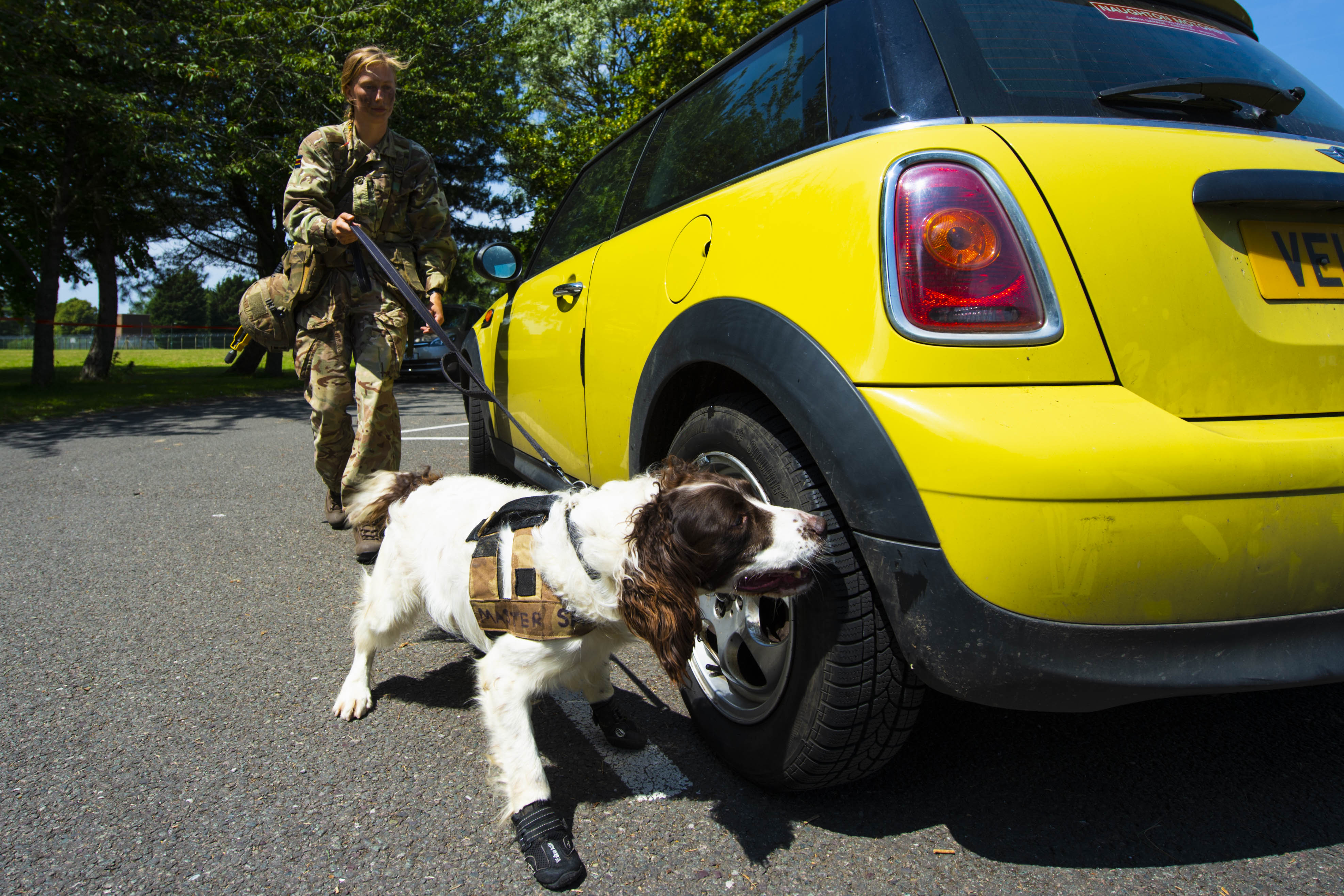 1st Military Working Dog Regiment Tackle Commanders Canine Challenge ...