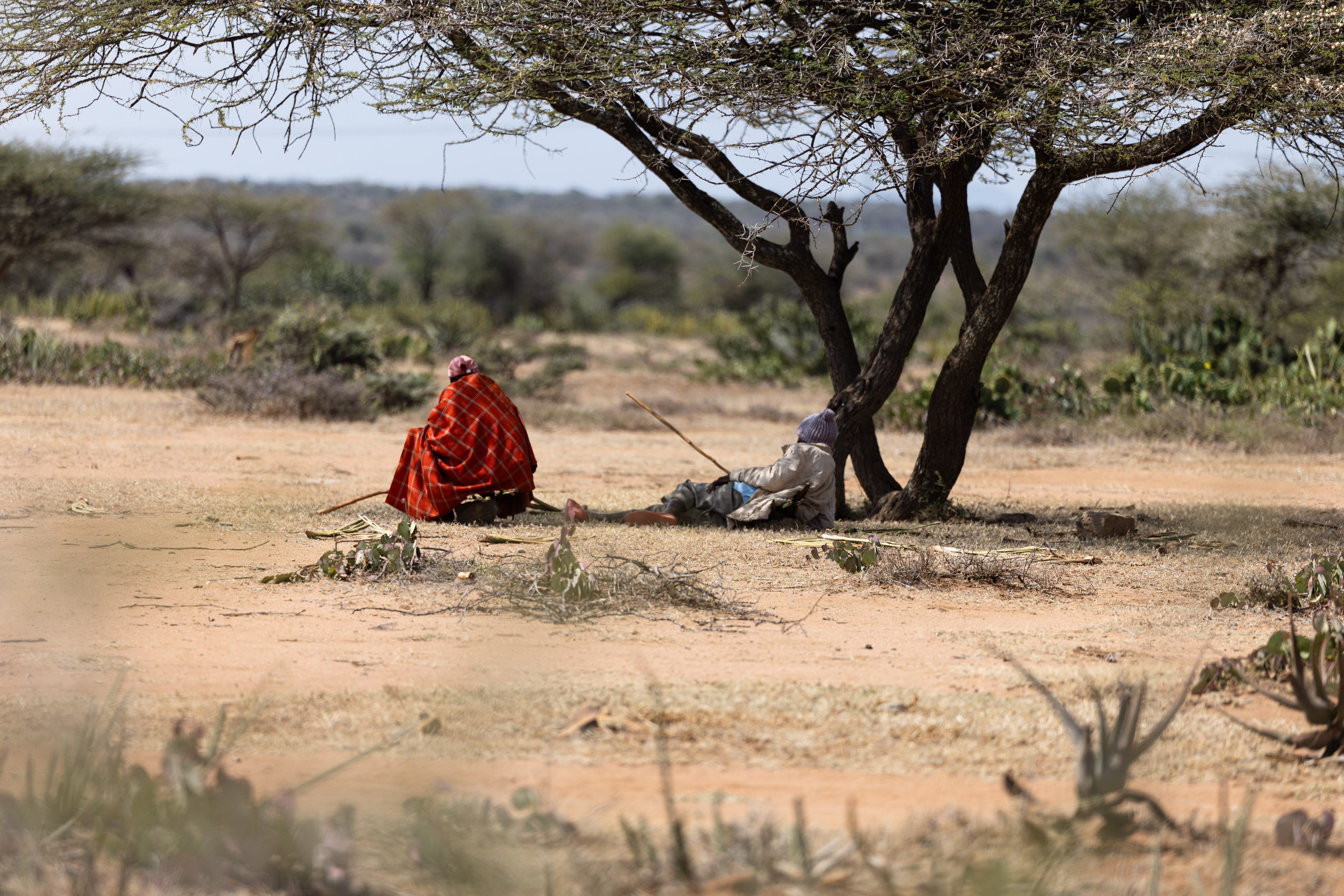 Army Reserve medics care for Kenya’s nomadic tribal peoples | British Army