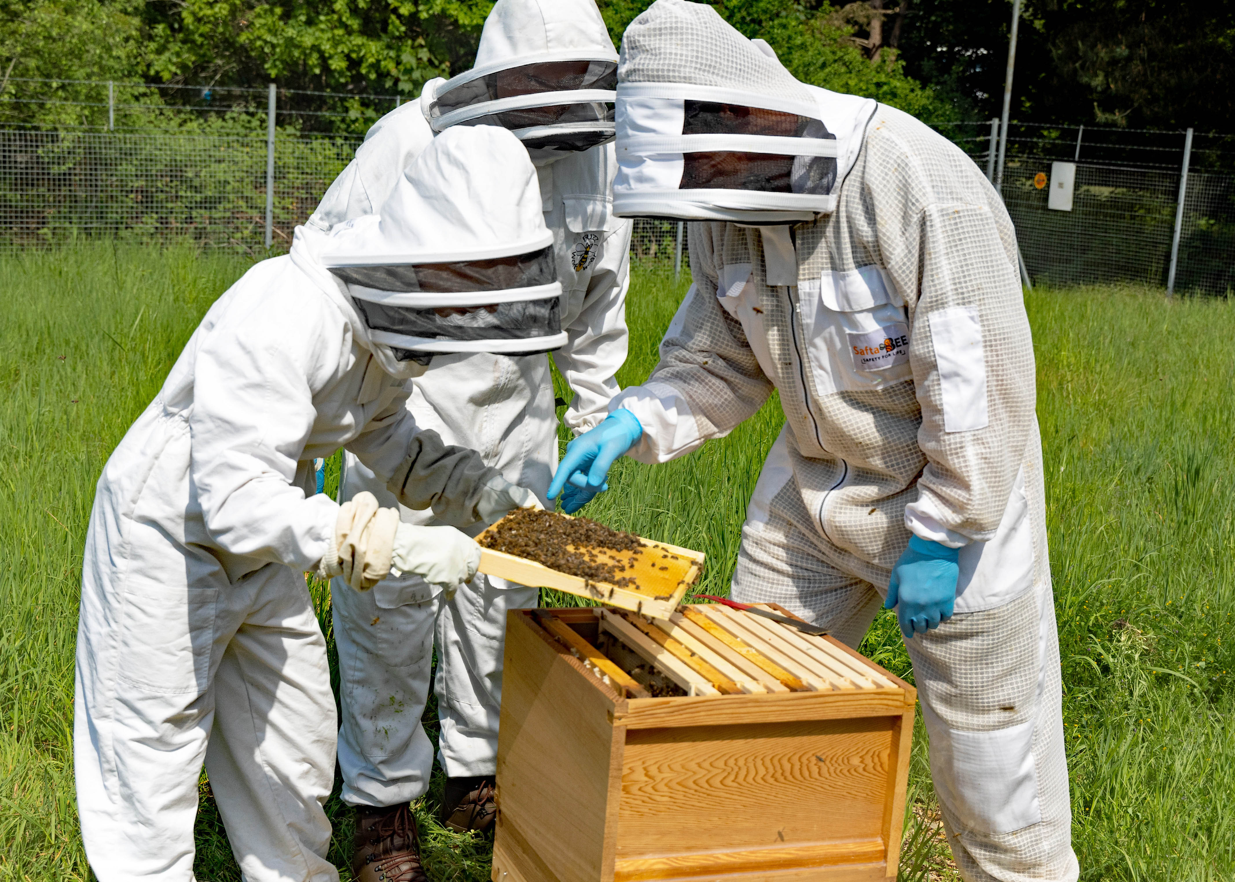 News | The British Army