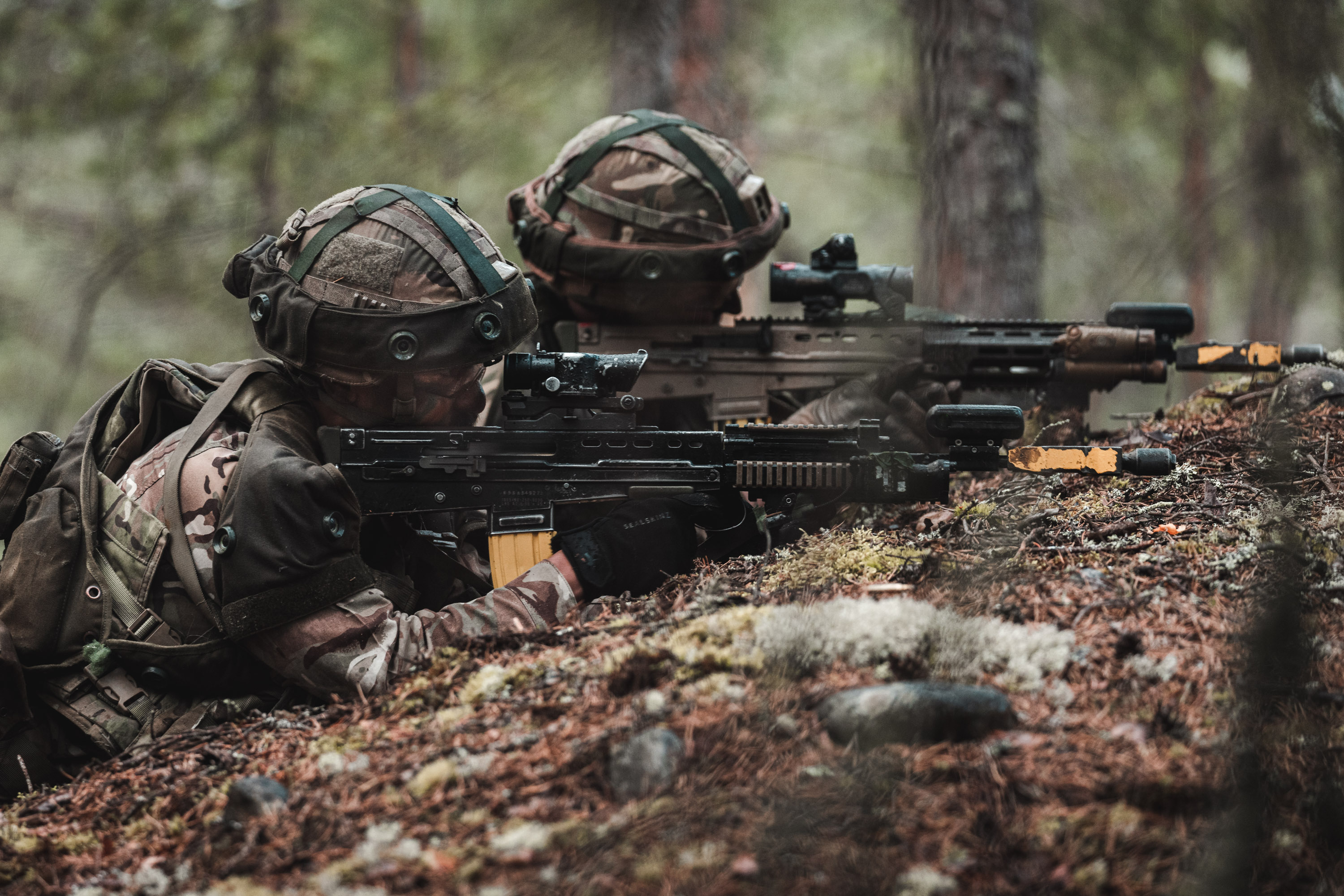 The Regular Rifles | The British Army