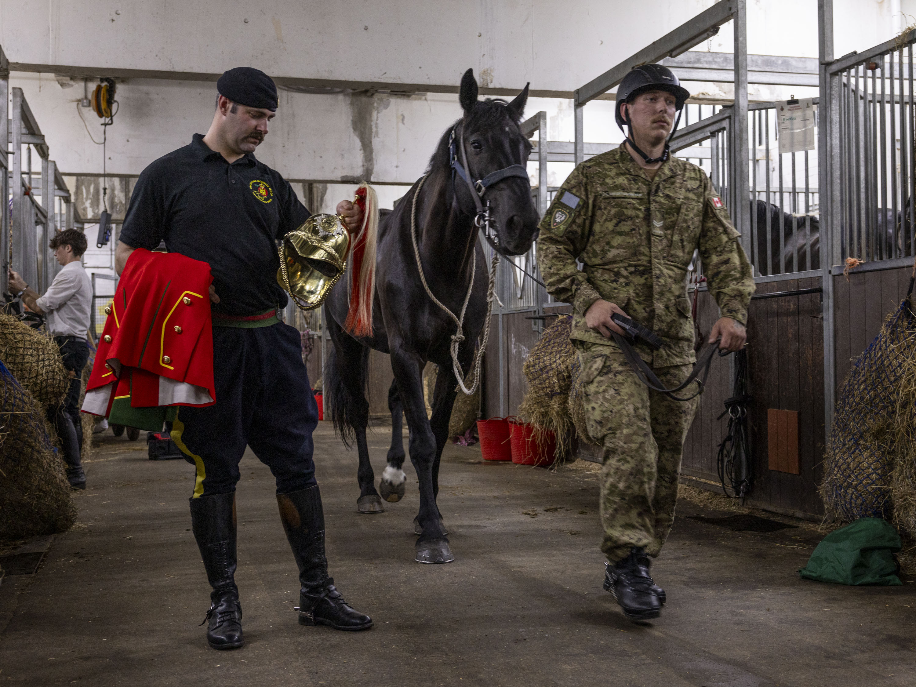 Canadian armoured regiment steps in as The King’s Life Guard | The ...
