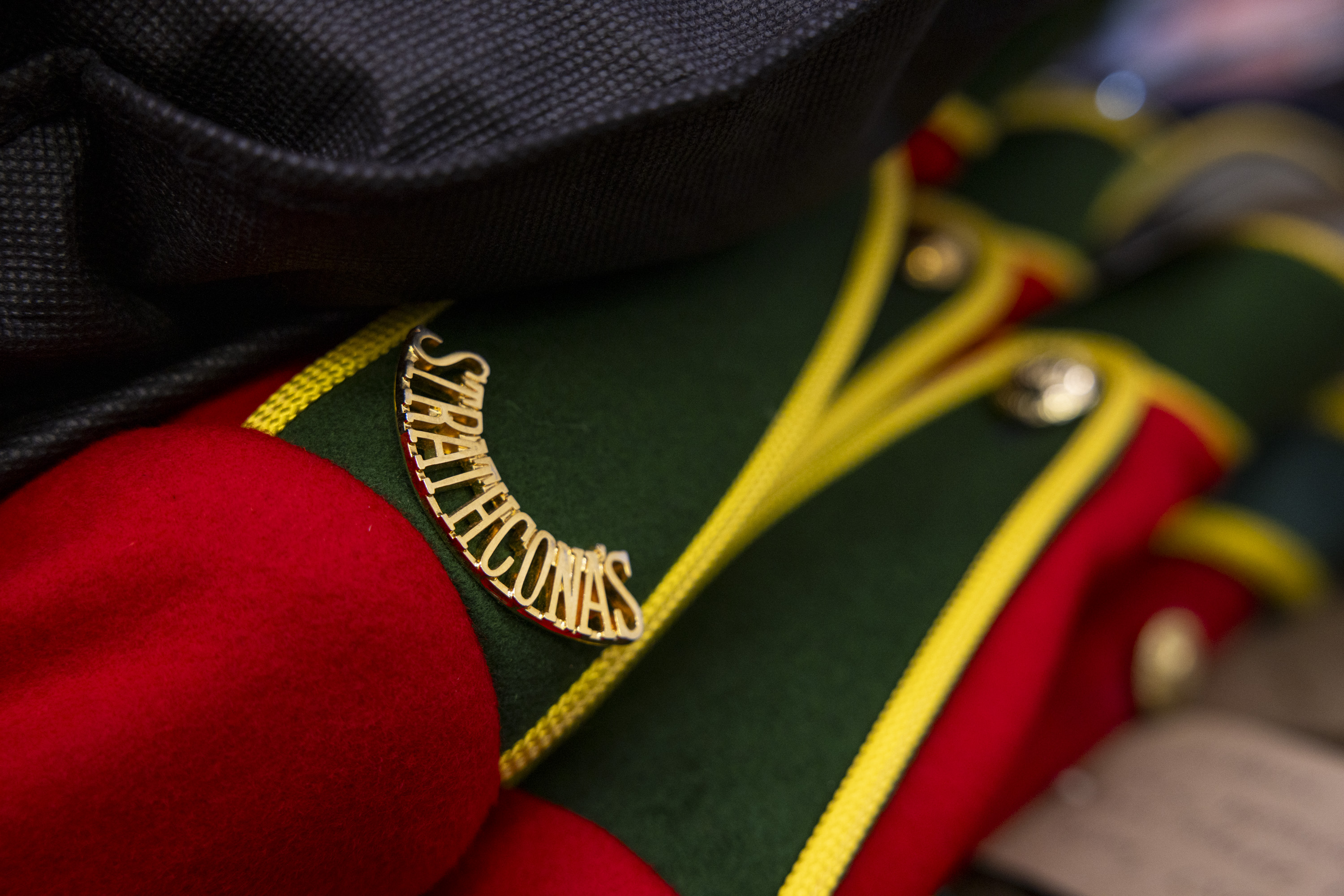 Canadian armoured regiment steps in as The King’s Life Guard | The ...