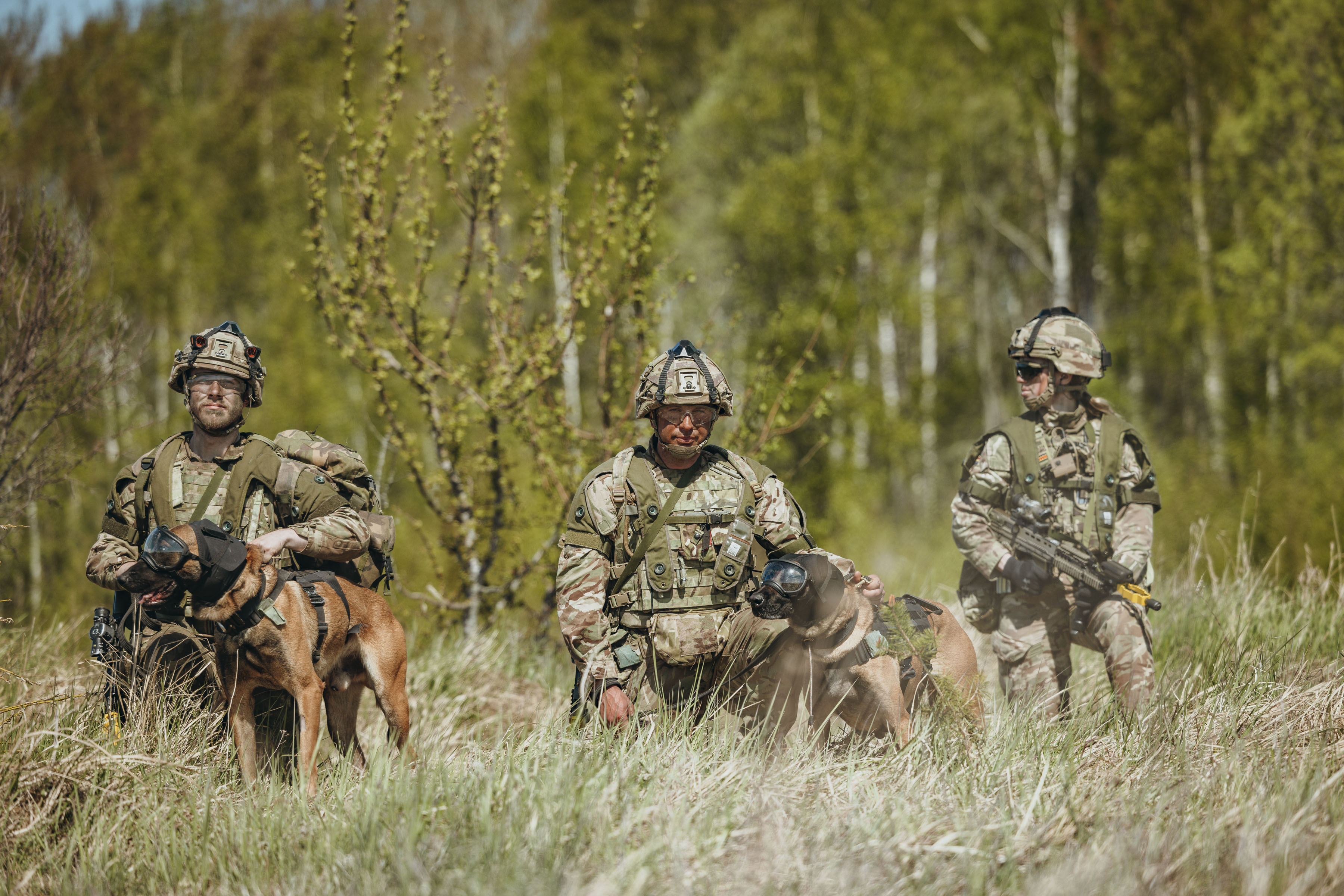 1st Military Working Dog Regiment | The British Army